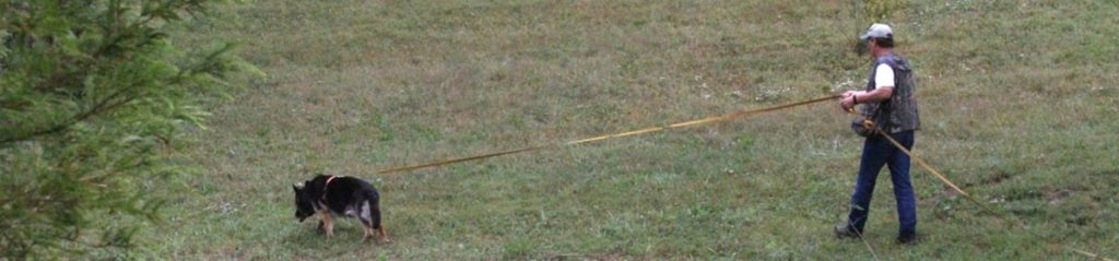 Tracking Judge Requirements – AKC Tracking Judges