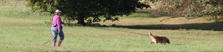 AKC Tracking Judges – STAYING on TRACK