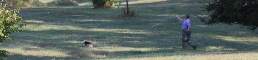 Reminder: Complete the required Stewards of Children® course before 11 ...