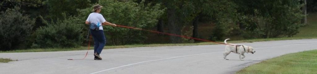 AKC Tracking Judges – STAYING on TRACK